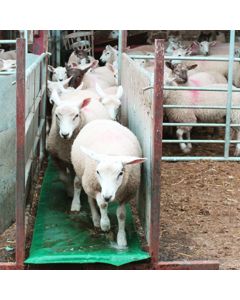 Footbaths - Sheep Handling Equipment Supply Specialists