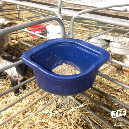 JFC Corner Gate Feed Trough | Sheep Feeders | McVeigh Parker