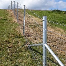 Triple X 1000m Lamb Friendly Fence Kit | Triple X Fencing | McVeigh