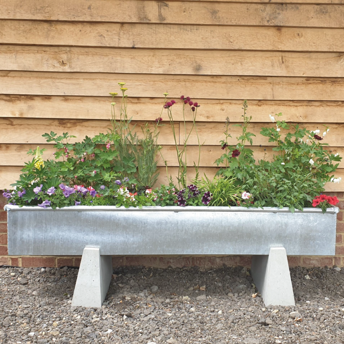 Galvanized Water Trough Planter